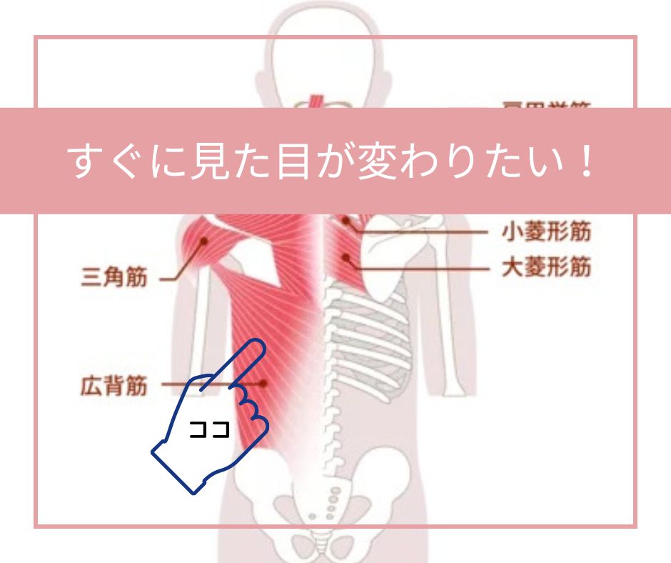 浜松のパーソナルトレーニング｜ダイエット向け・体験無料＆安い料金「MIRIZ」 | すぐに見た目が変わりたいなら！